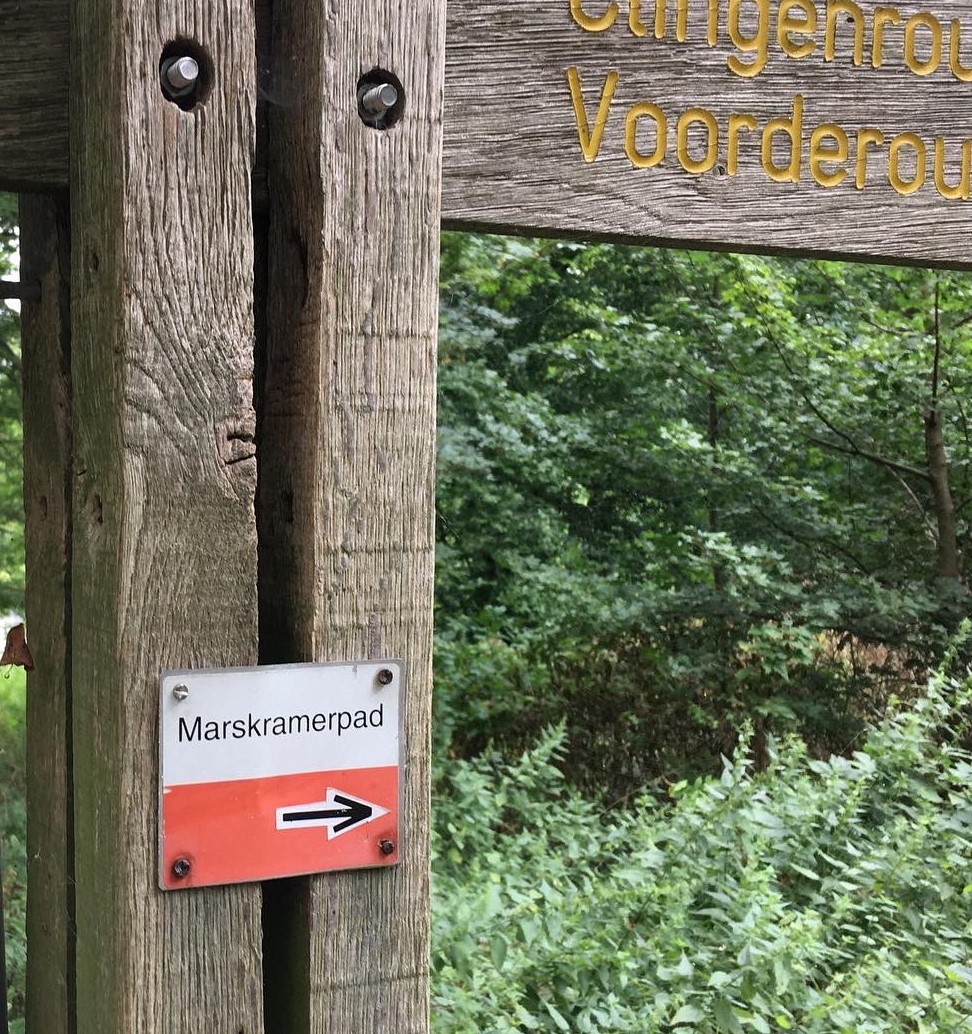 De ontdekking van het wandelen (2) – Martine van Wolfswinkel